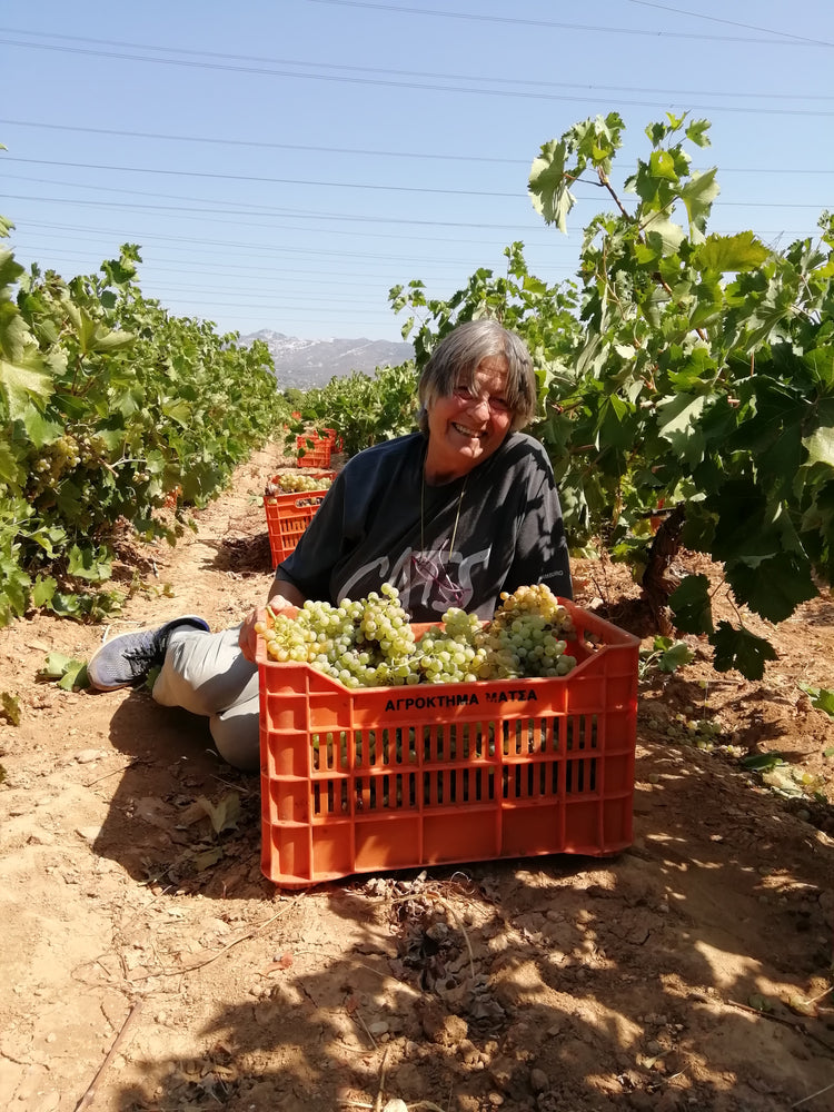 Roxane Matsa Estate – roxanematsaestate
